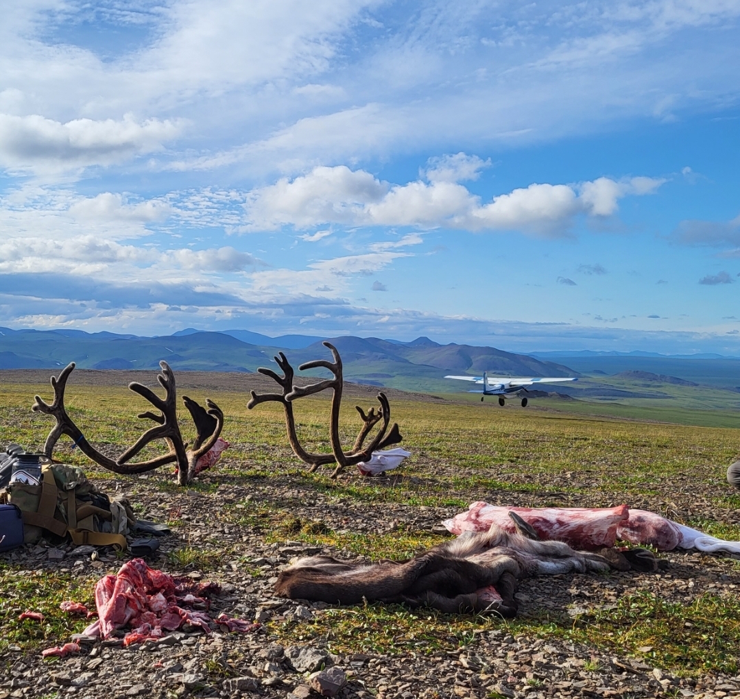 Russ Meyer and Rusty Smith Caribou Hunt Report - Unguided Alaska